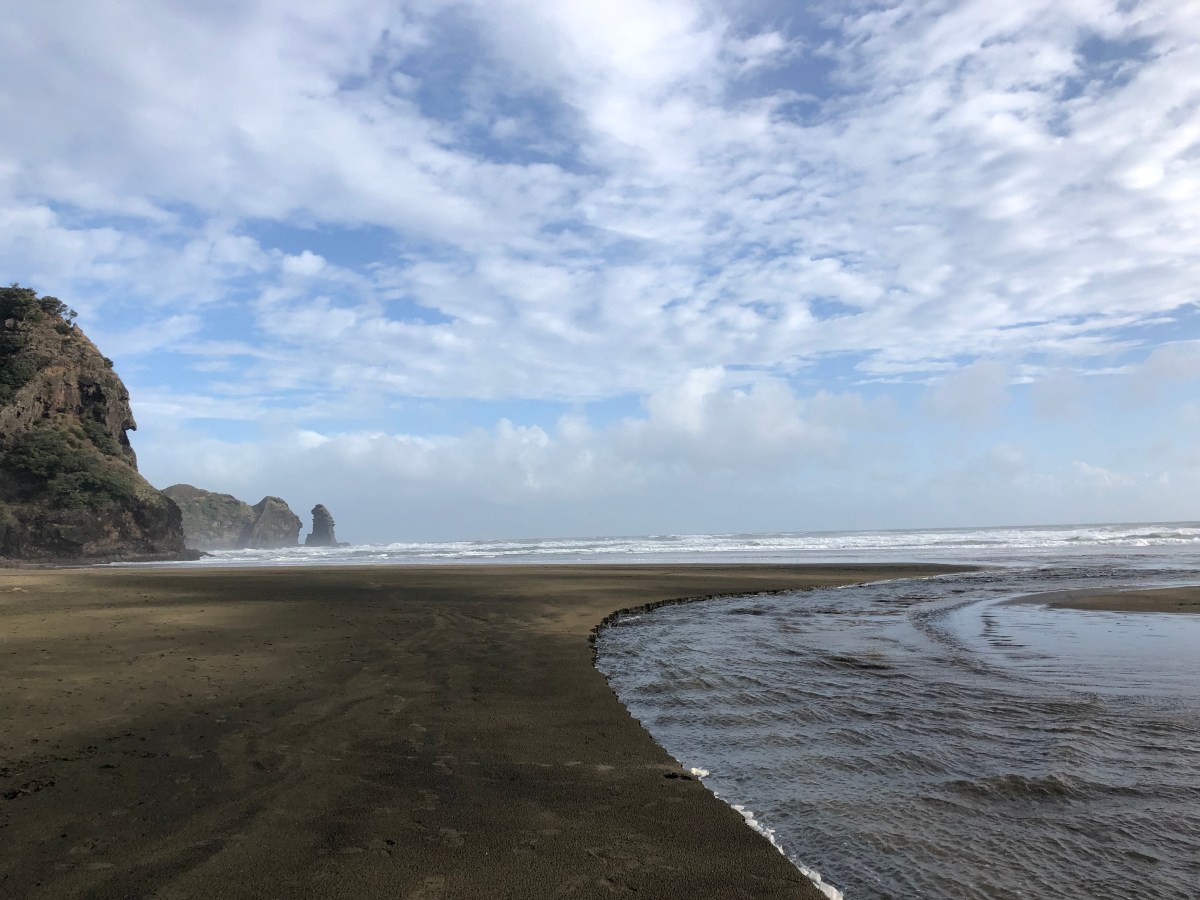 Piha Beach Walking: Wind, Sand, and Surf | Electric Travels